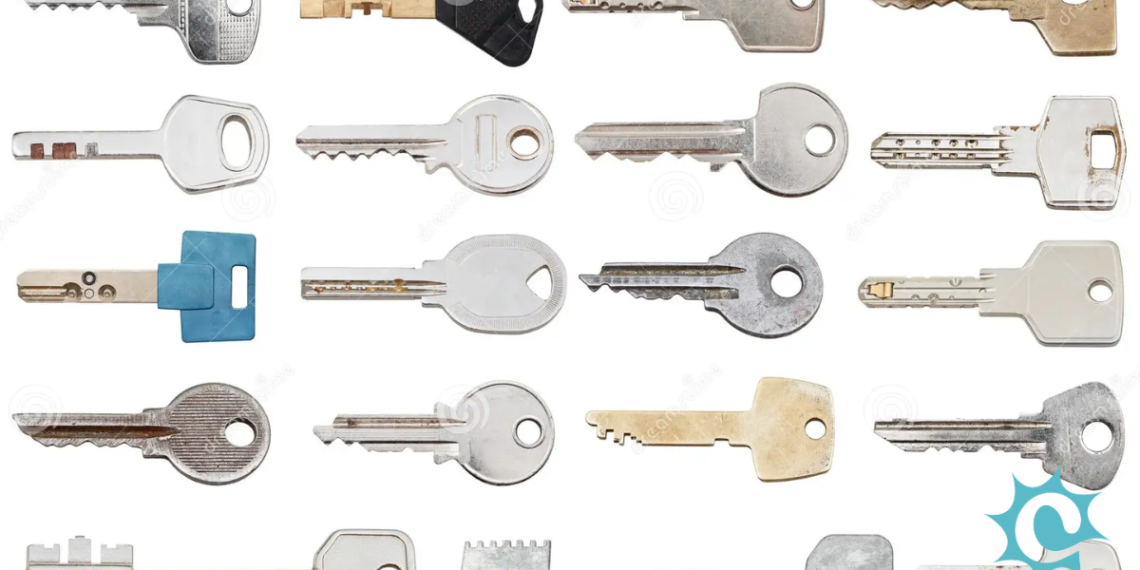 Types of Keys: 25 Unique Designs Explained - Quick Blaster